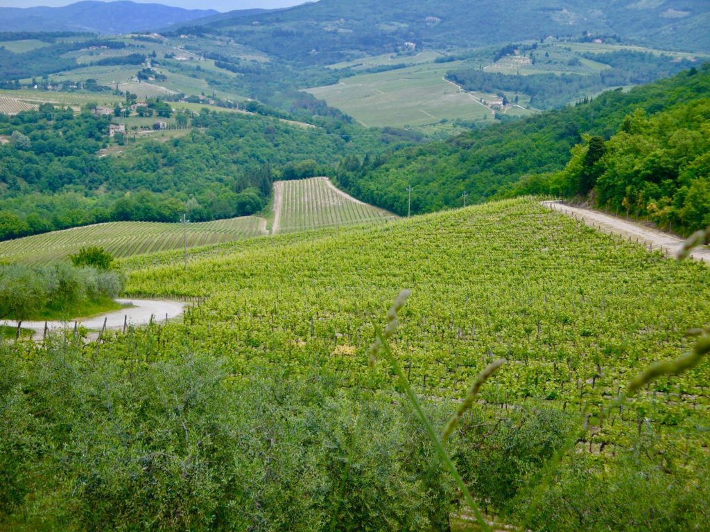 Florence Nature and Wildlife Tours | Turislucca